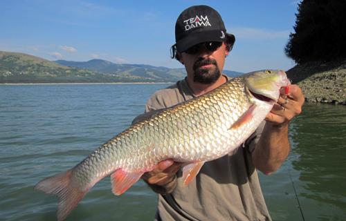 Pesti mari in Romania. Cleanul lui Berti-72 cm!