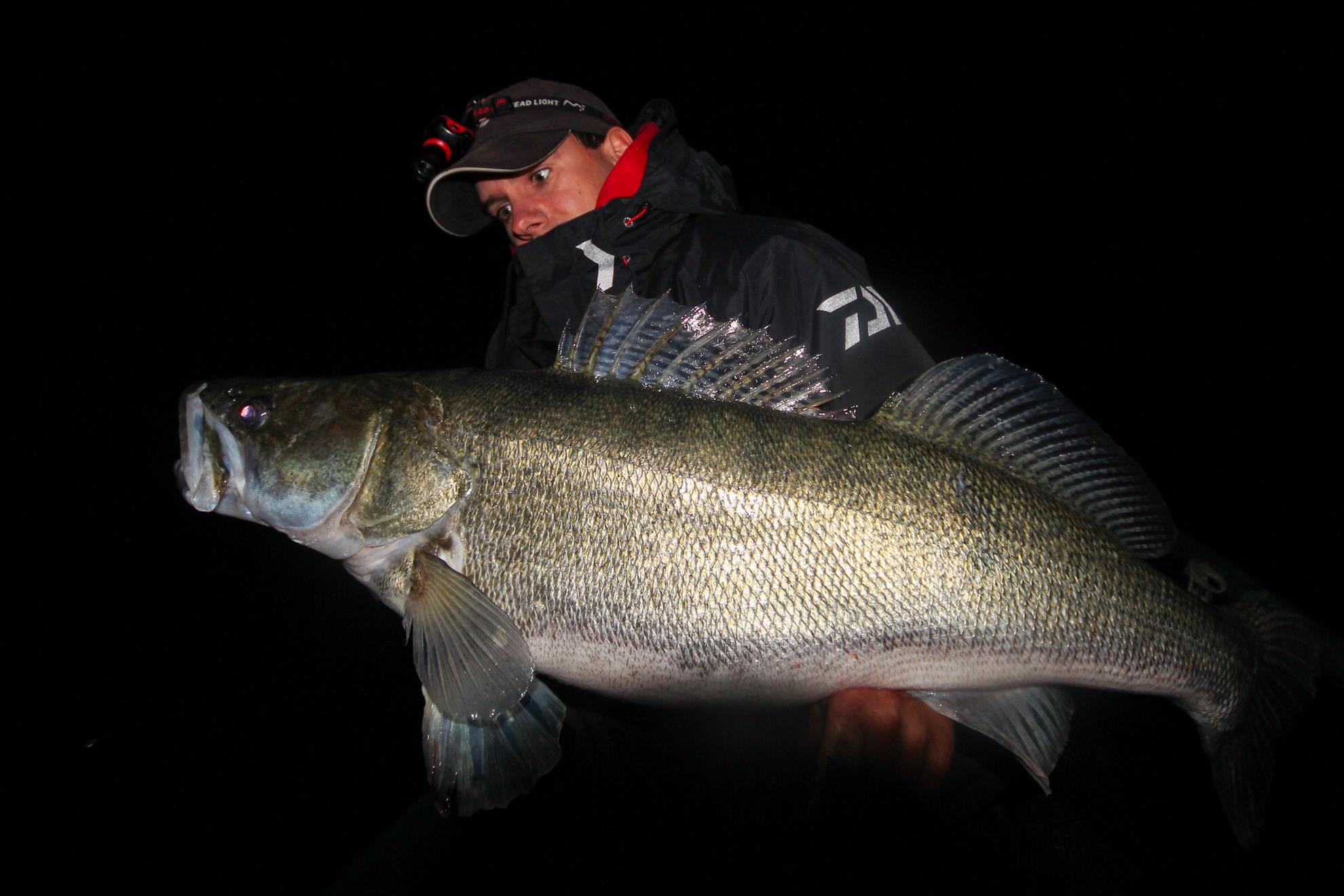 Salau de 11,73 kg pe Dunare!