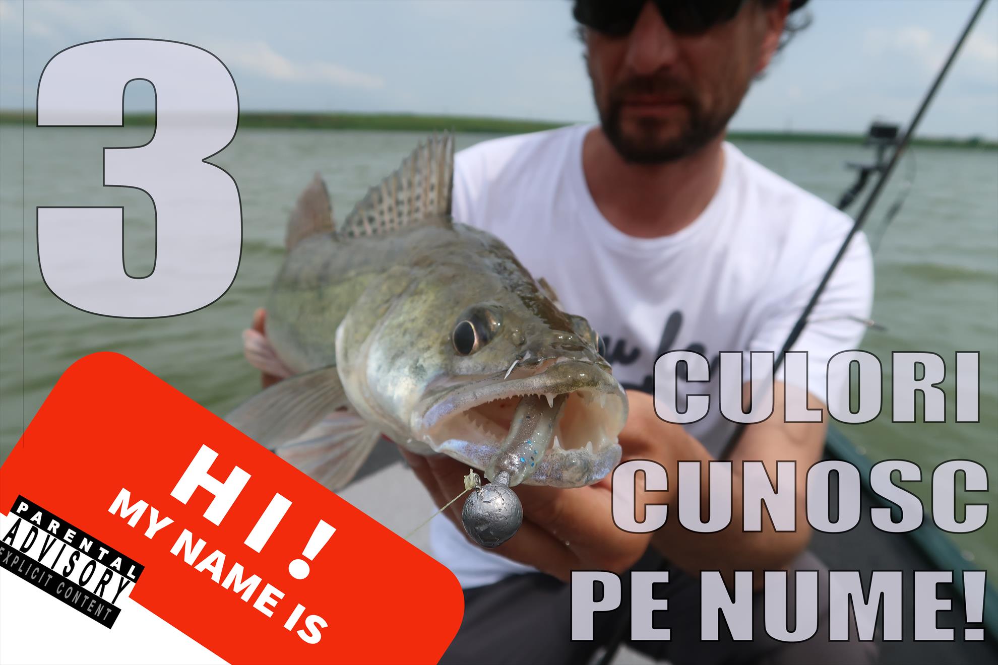 Trei Slim Shad cunosc pe lume!