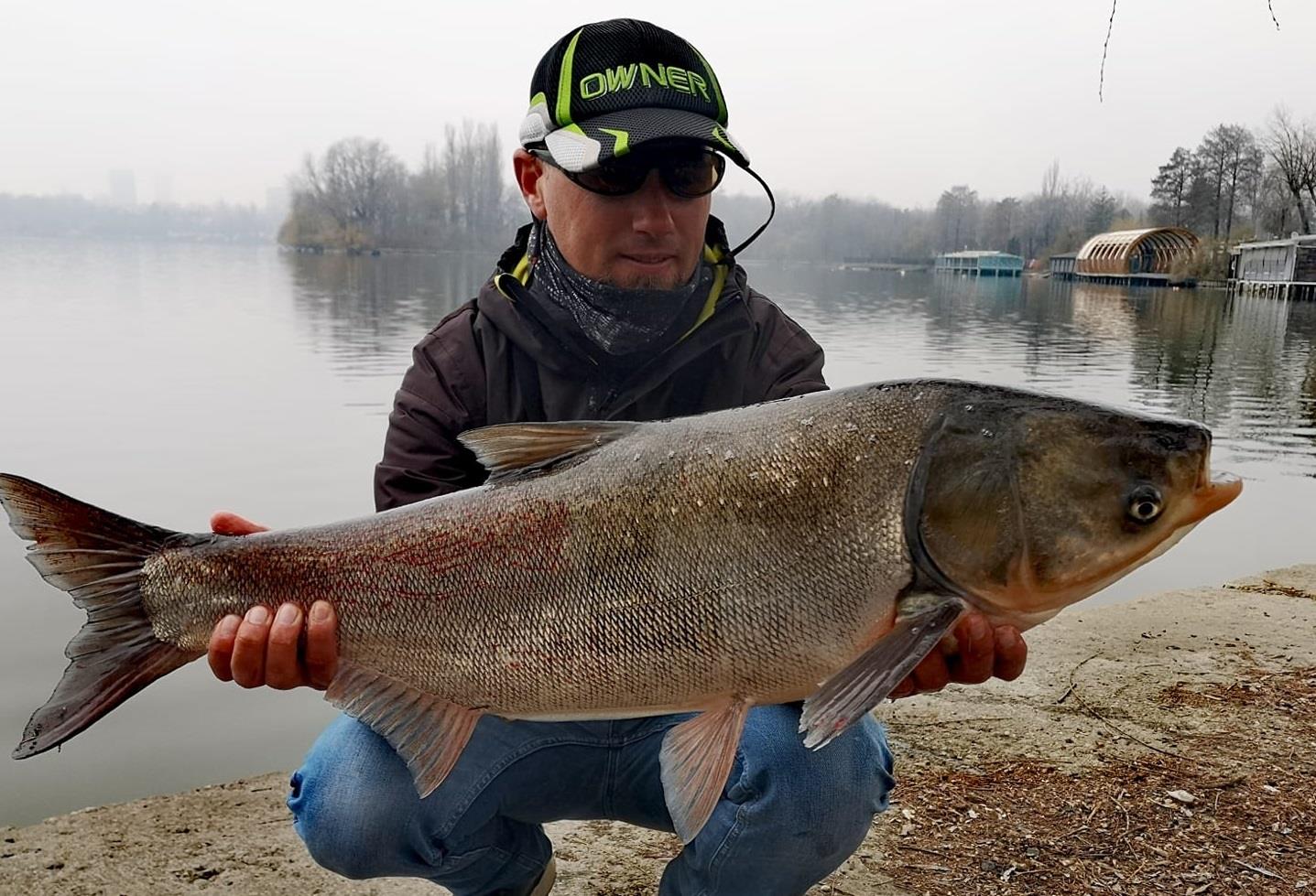 Exista o lanseta cu care poti prinde avat, biban, stiuca, salau si crap ...